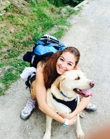 home dog boarding | dog boarding, pet boarding